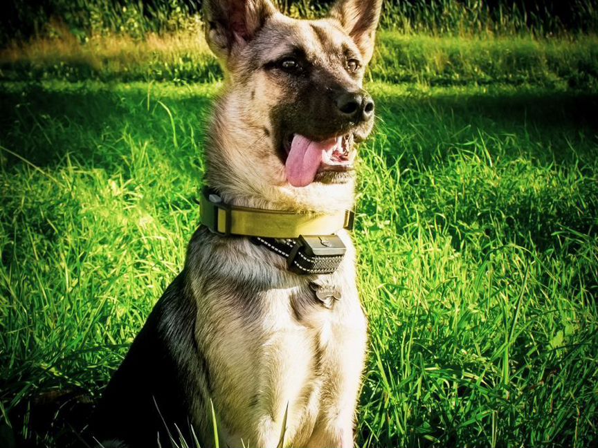 Клад ищет дом