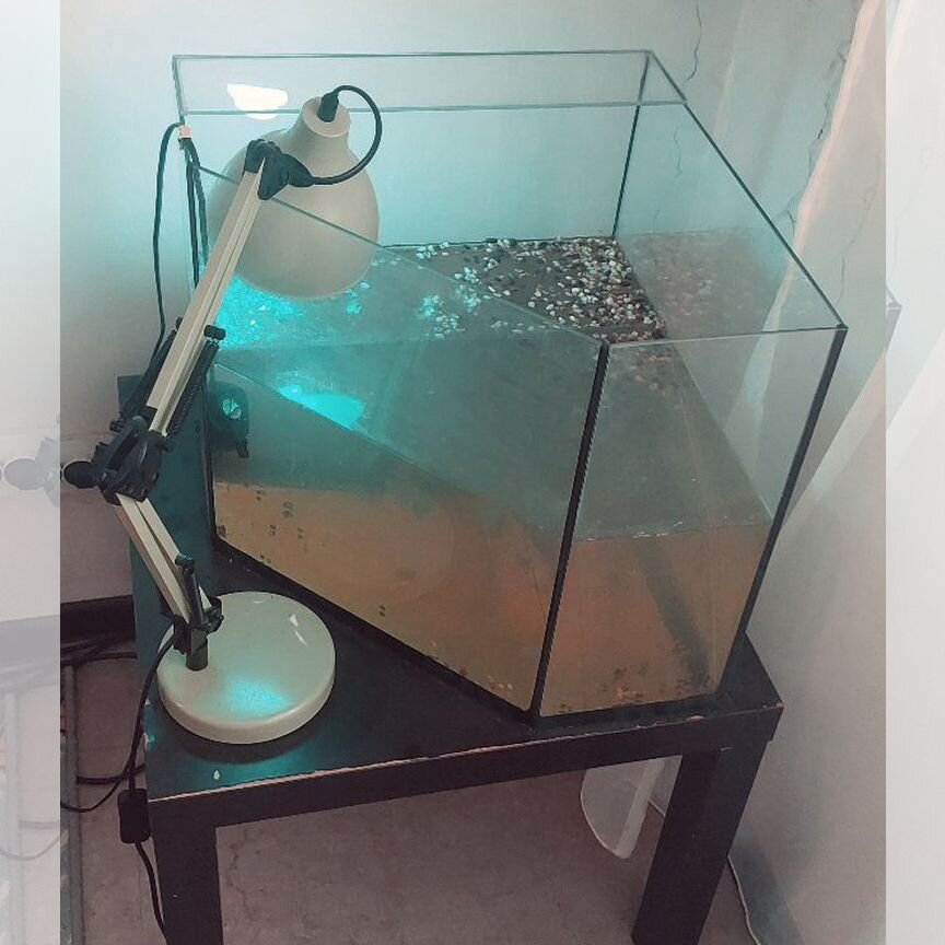 Аквариум для черепах