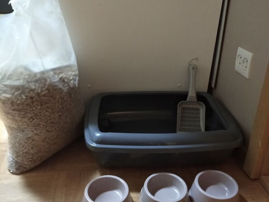 Набор для кошки