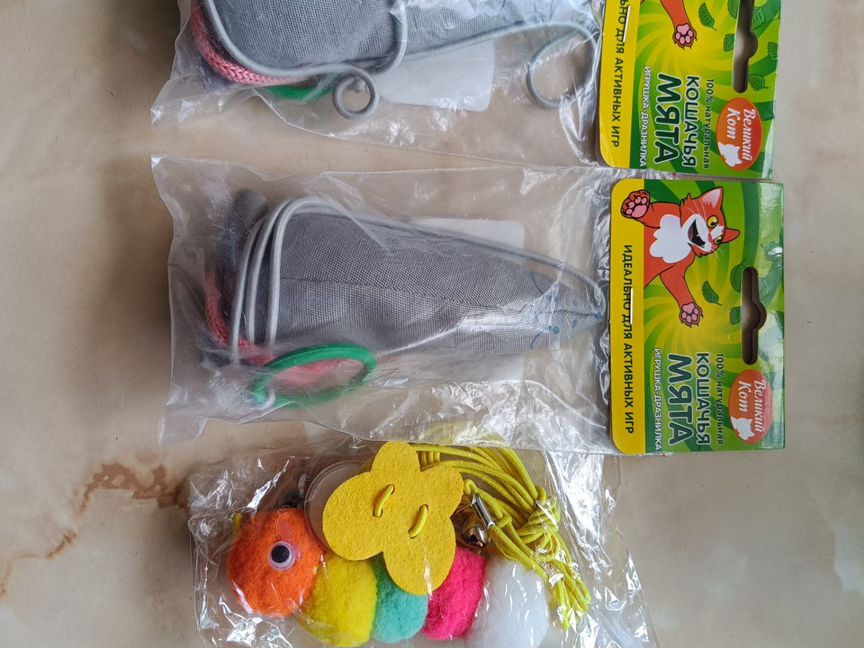 Кошачья мята