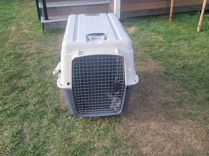 Переноска для больших собак, перелёты