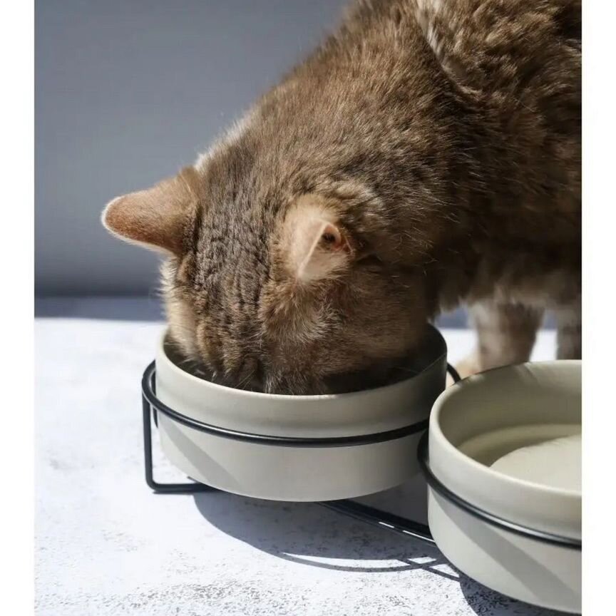 Миска керамическая