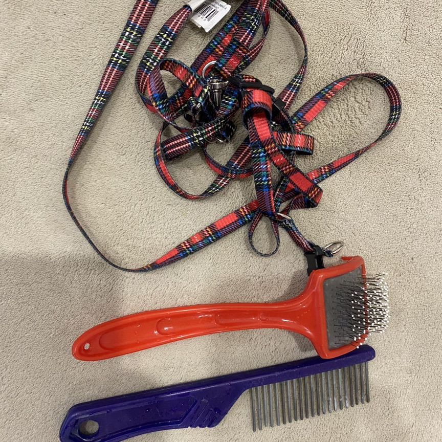 Аксессуары для собак