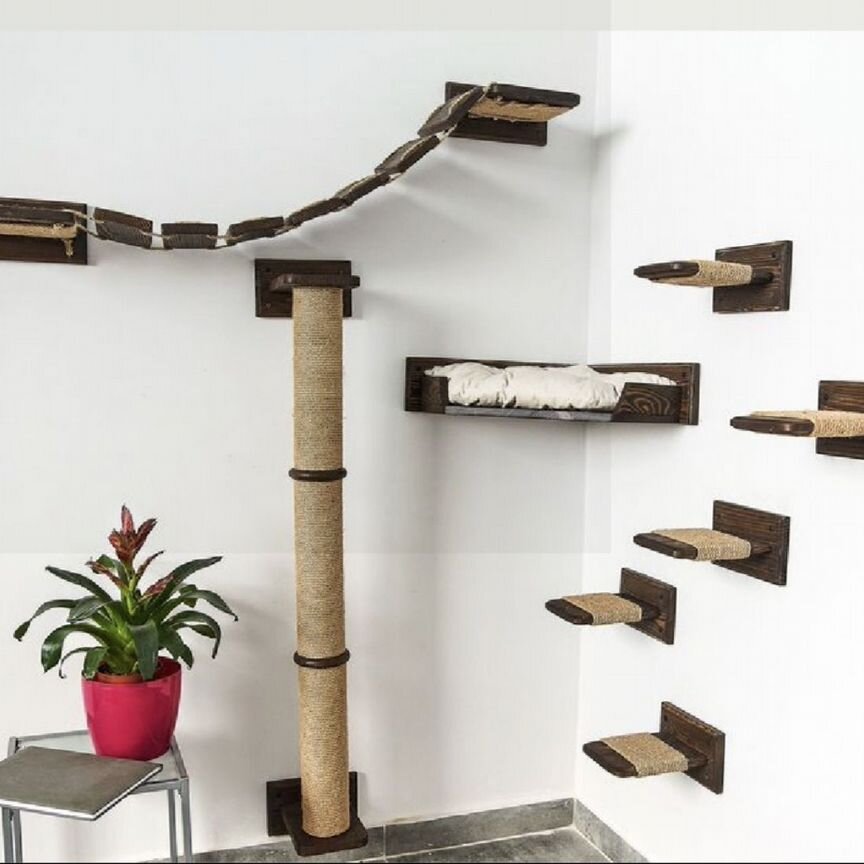 Комплекс для кошек