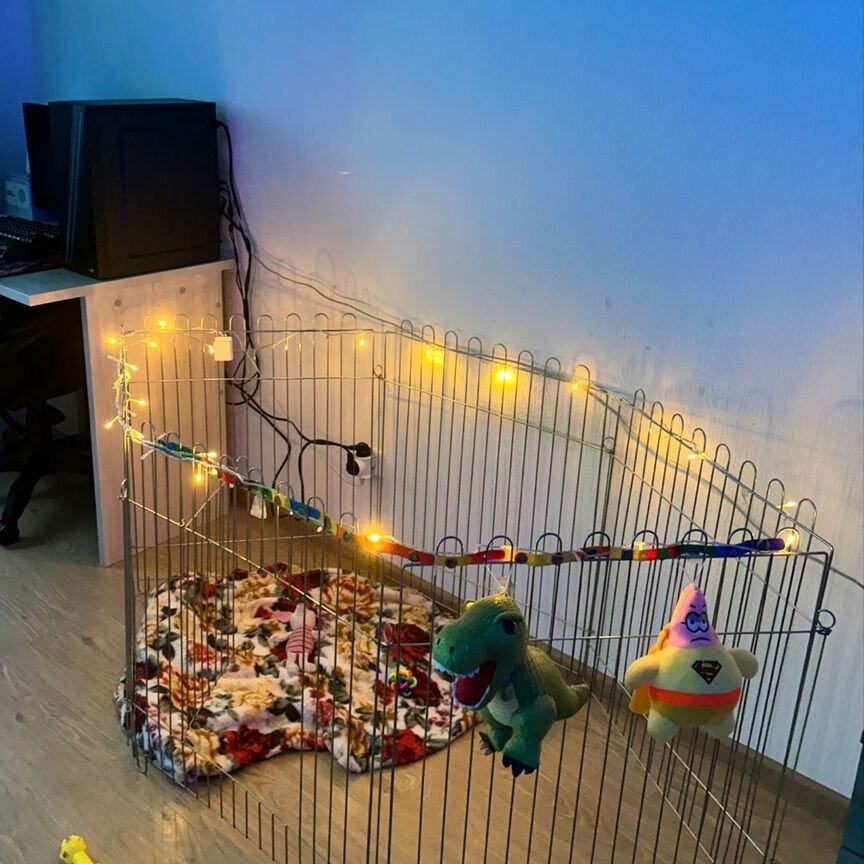 Клетка вольер для собак