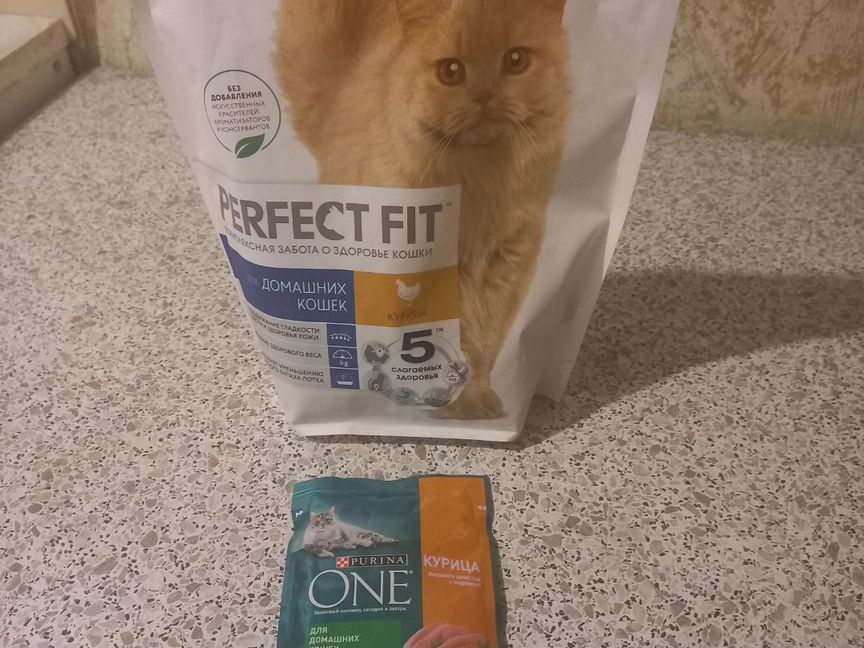 Сухой корм для кошек purina one