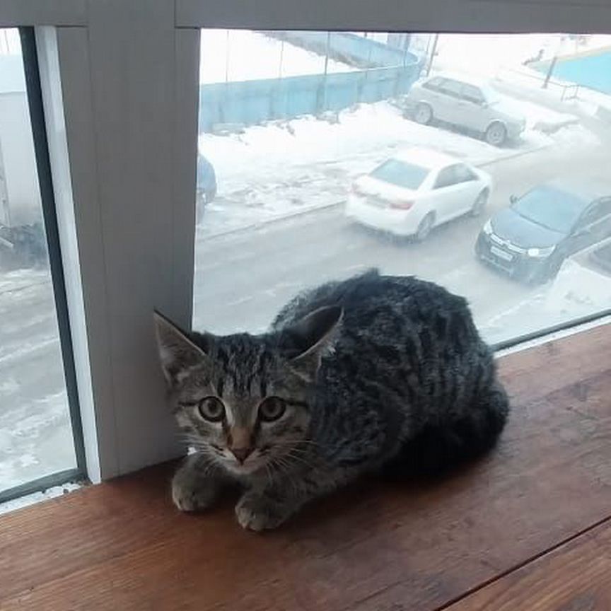 Малыши в семью