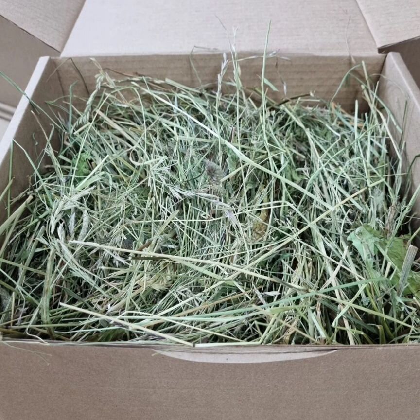 Сено для морских свинок 5 кг