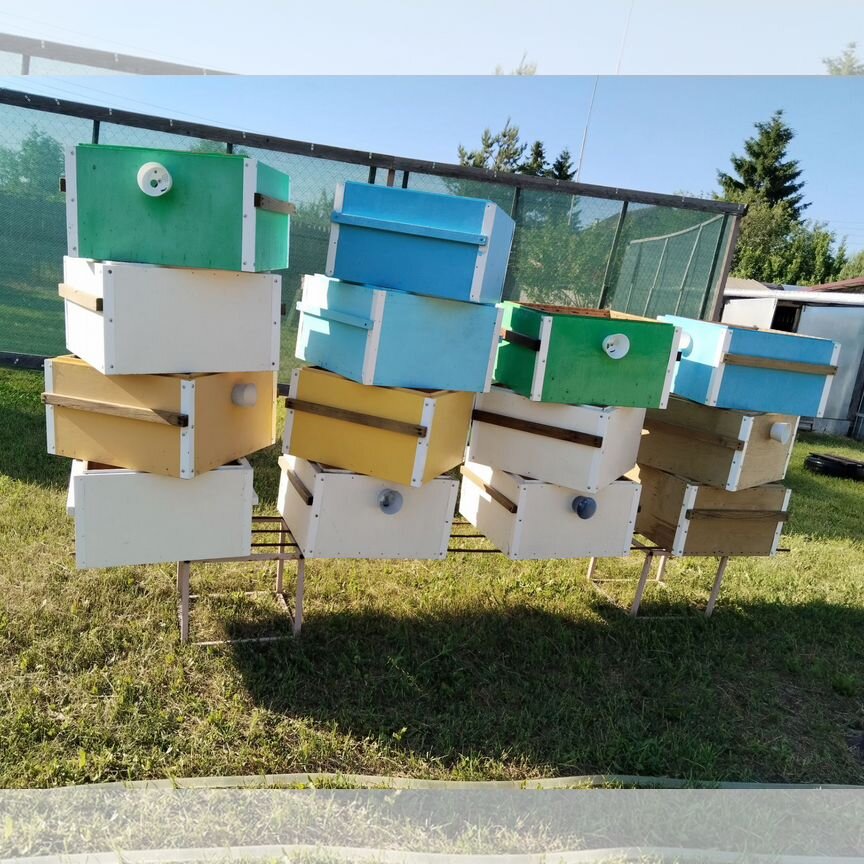 Улья дадан 12 рамок