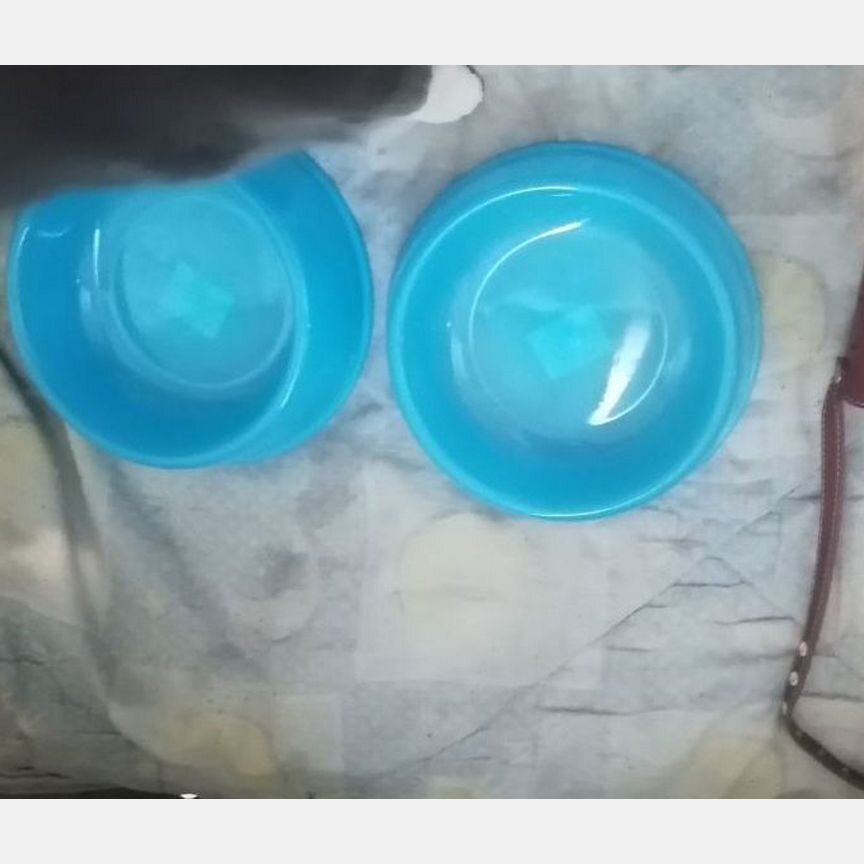 Миски для собак и намордник