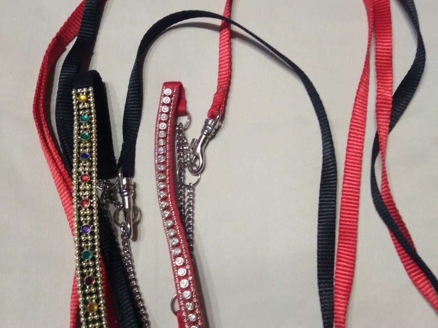 Ошейник для собак