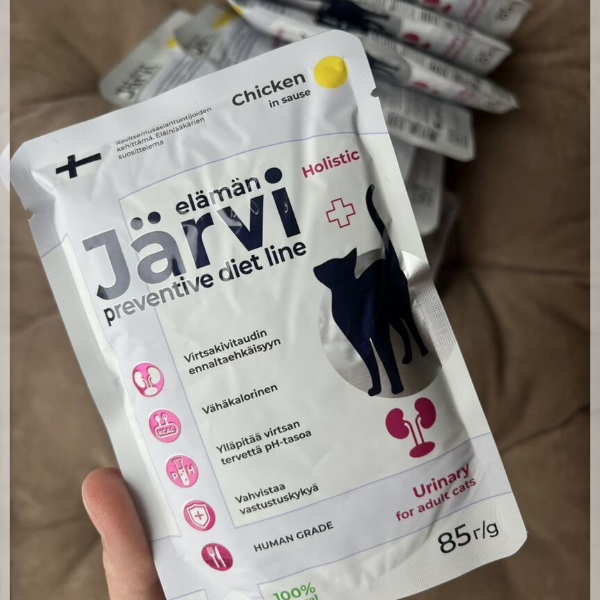 Jarvi Холистик Holistic