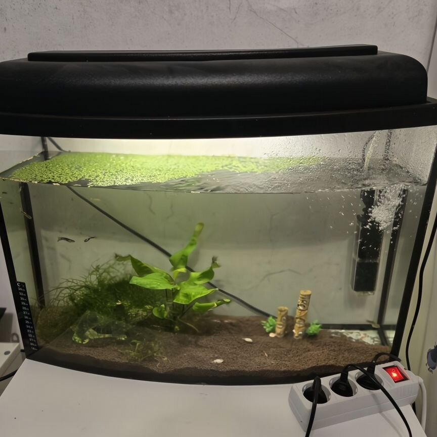 Аквариум с рыбками 50л