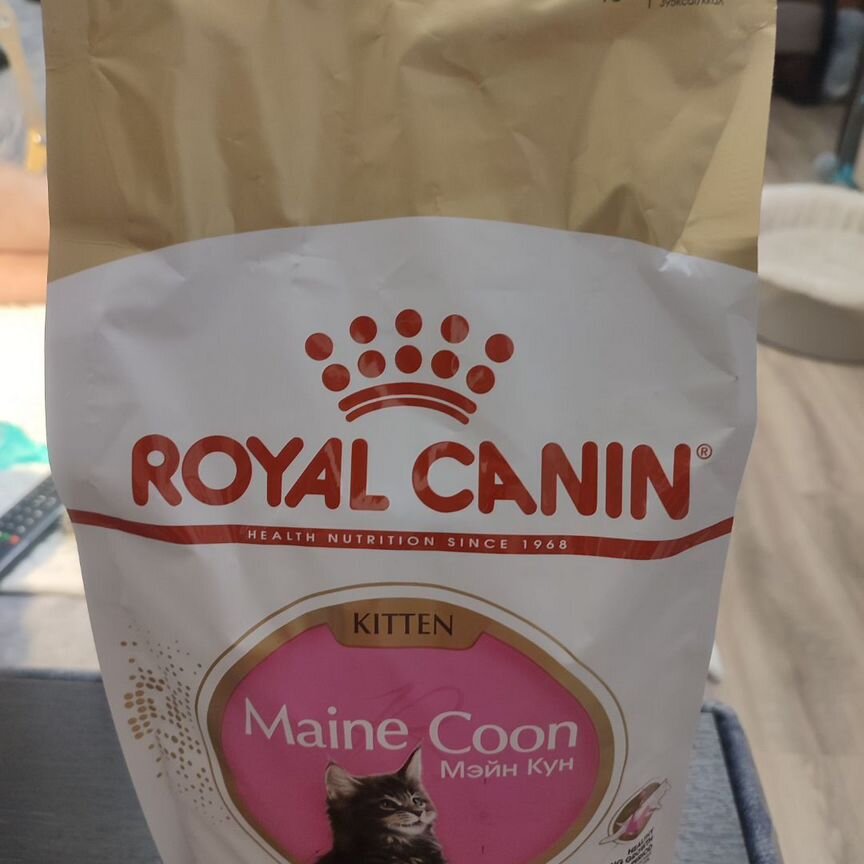 Сухой корм для котят