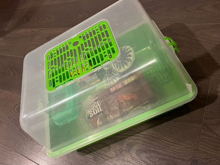 Домик для улитки (террариум)