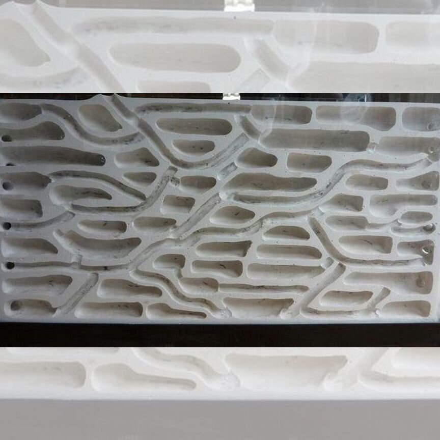 Муравьиная ферма гипсовая