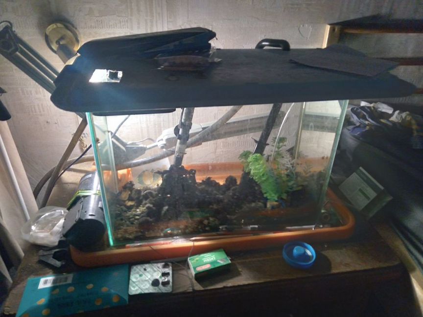 Аквариум 30 литров с рыбками