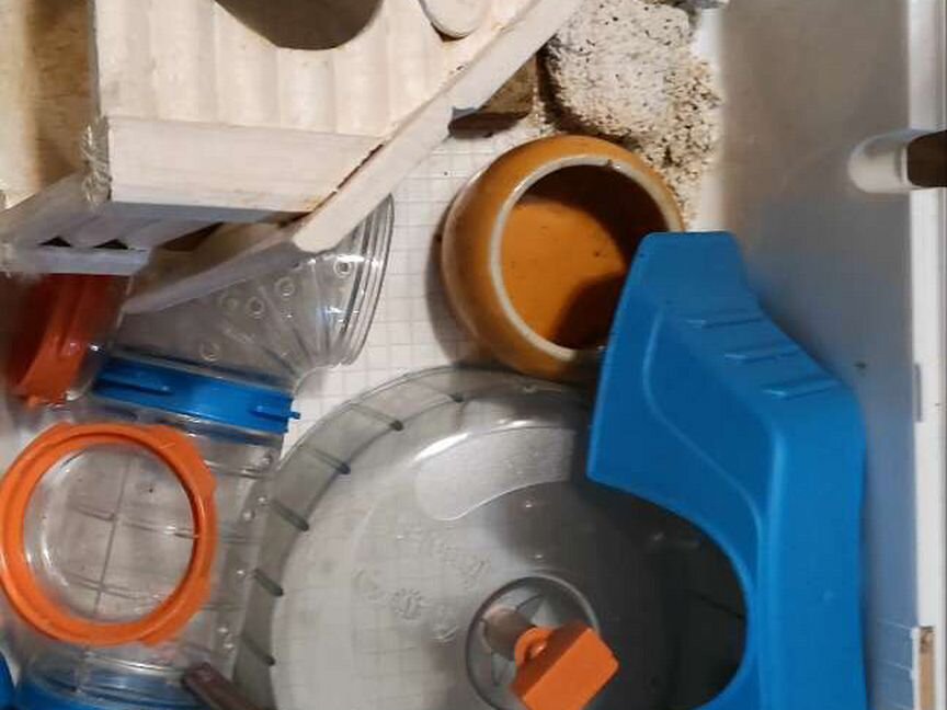 Клетка, домик, подстилка, корм