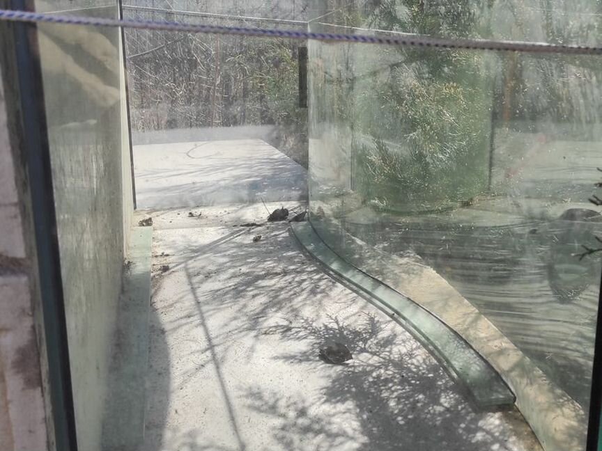 Аквариум большой