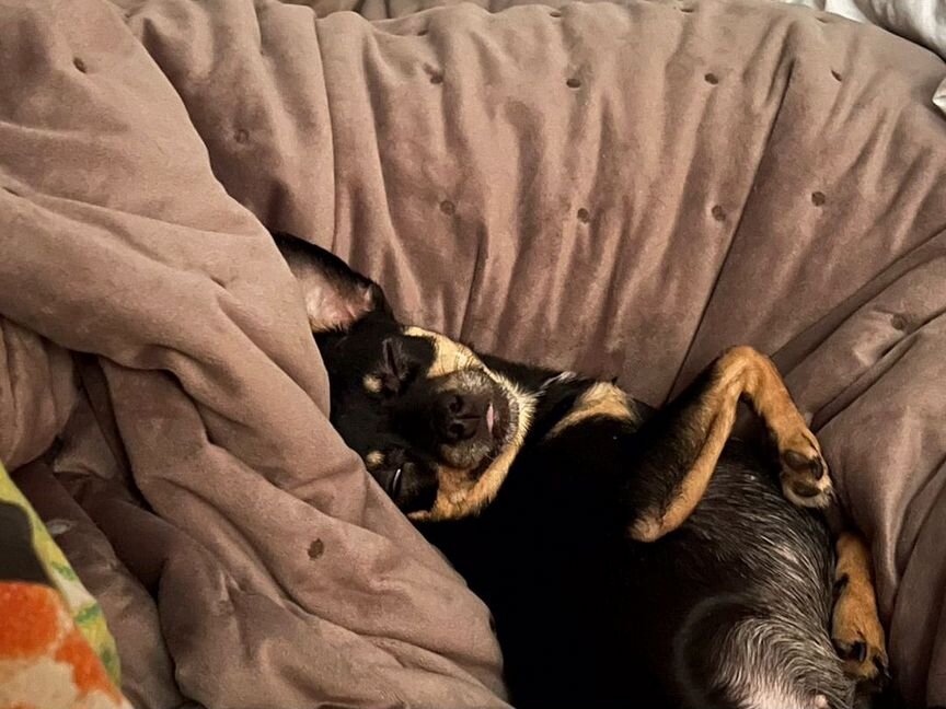 Очаровательные малыши