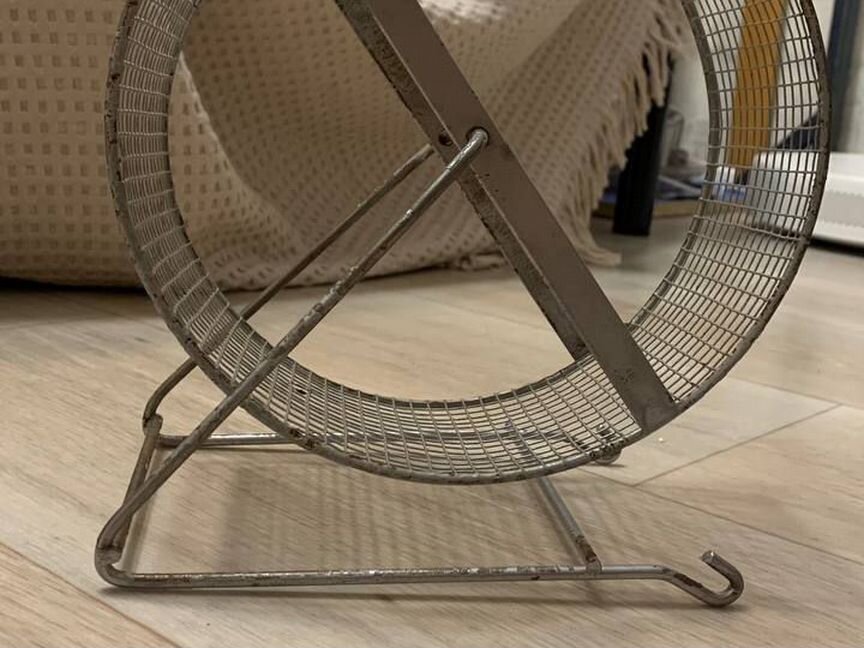 Колесо для белки или хомяка