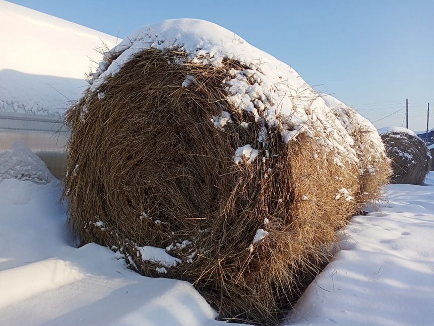 Продам сено и солому в рулонах