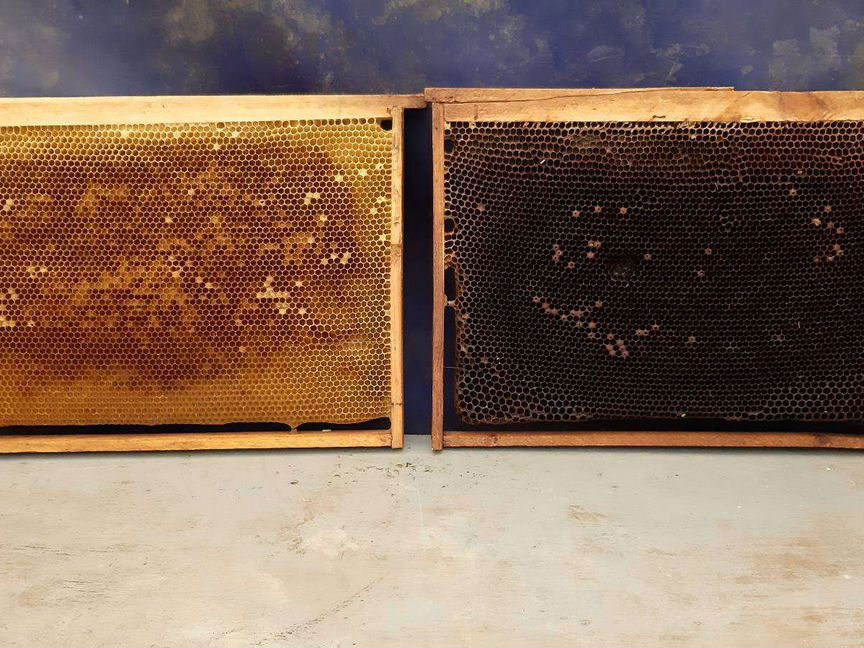 Рамки с сушью 150шт