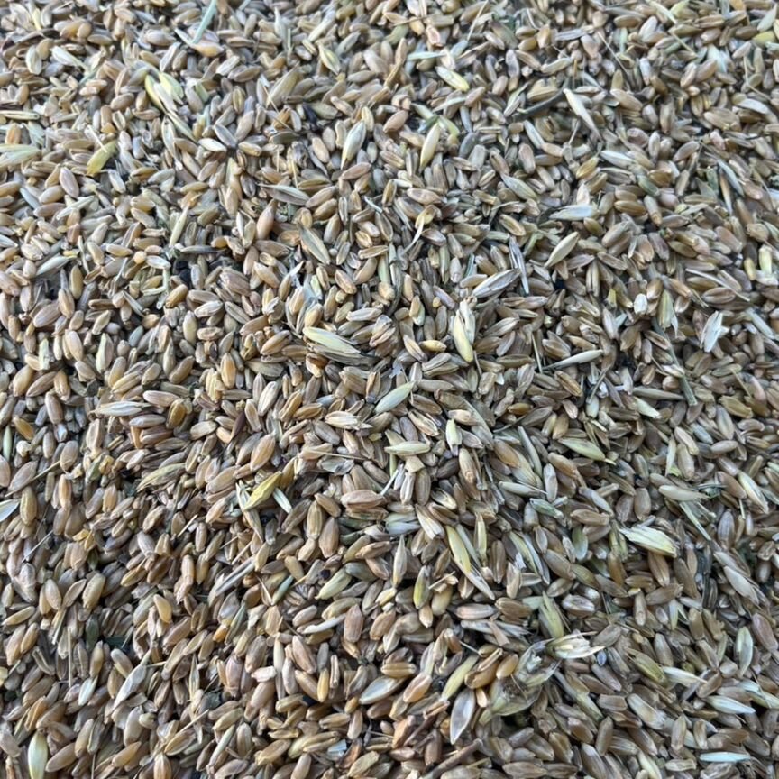 Зерноотходы