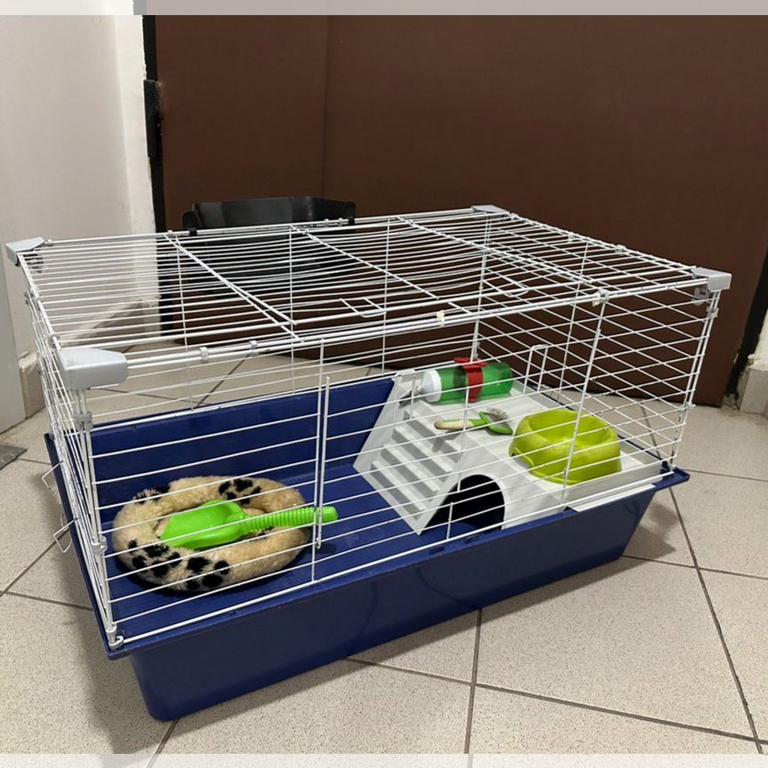Клетка для кролика морской свинки ежа грызунов