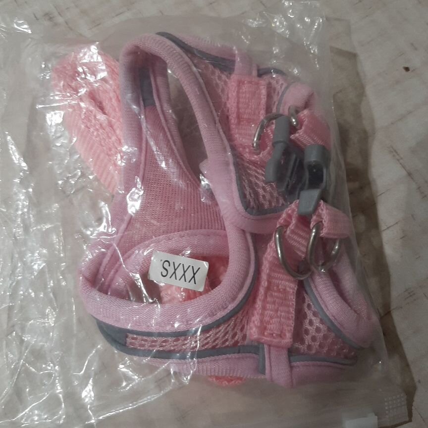 Шлейка для котенка