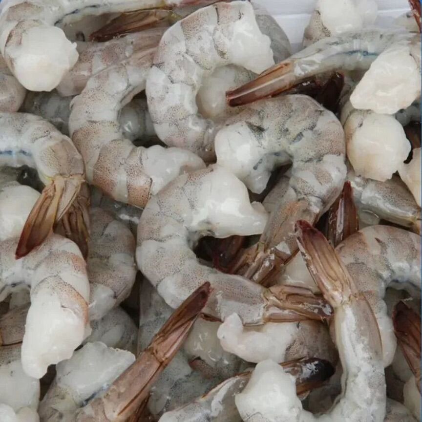 Тигровые креветки