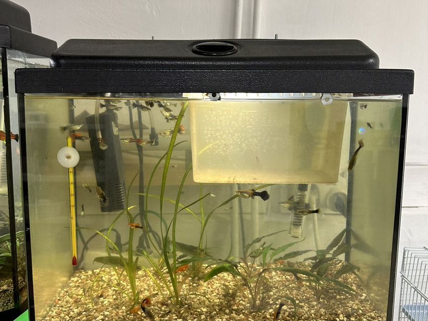 Аквариум с рыбками и комплектующими