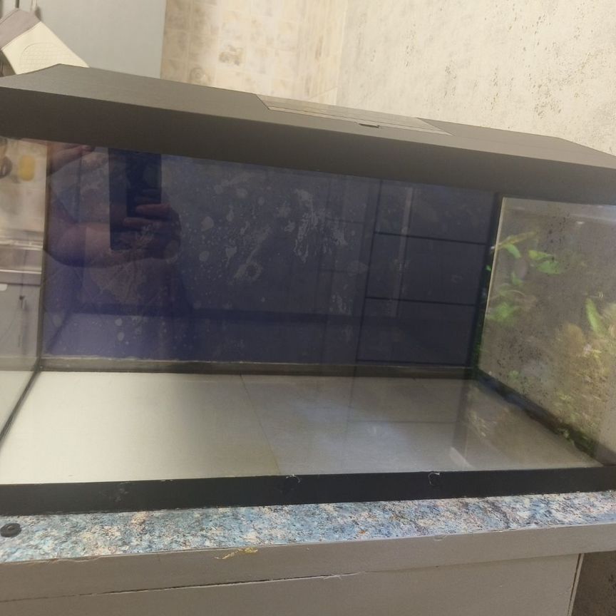 Аквариум 60л