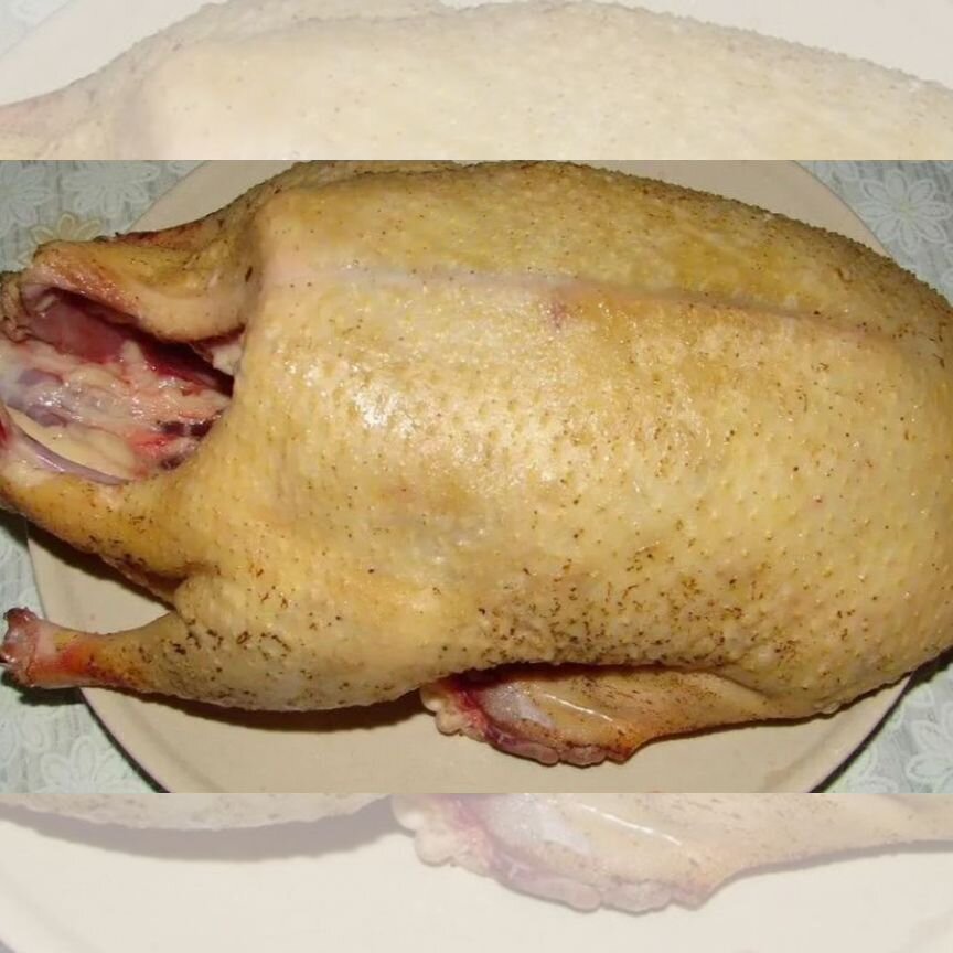 Утка домашняя