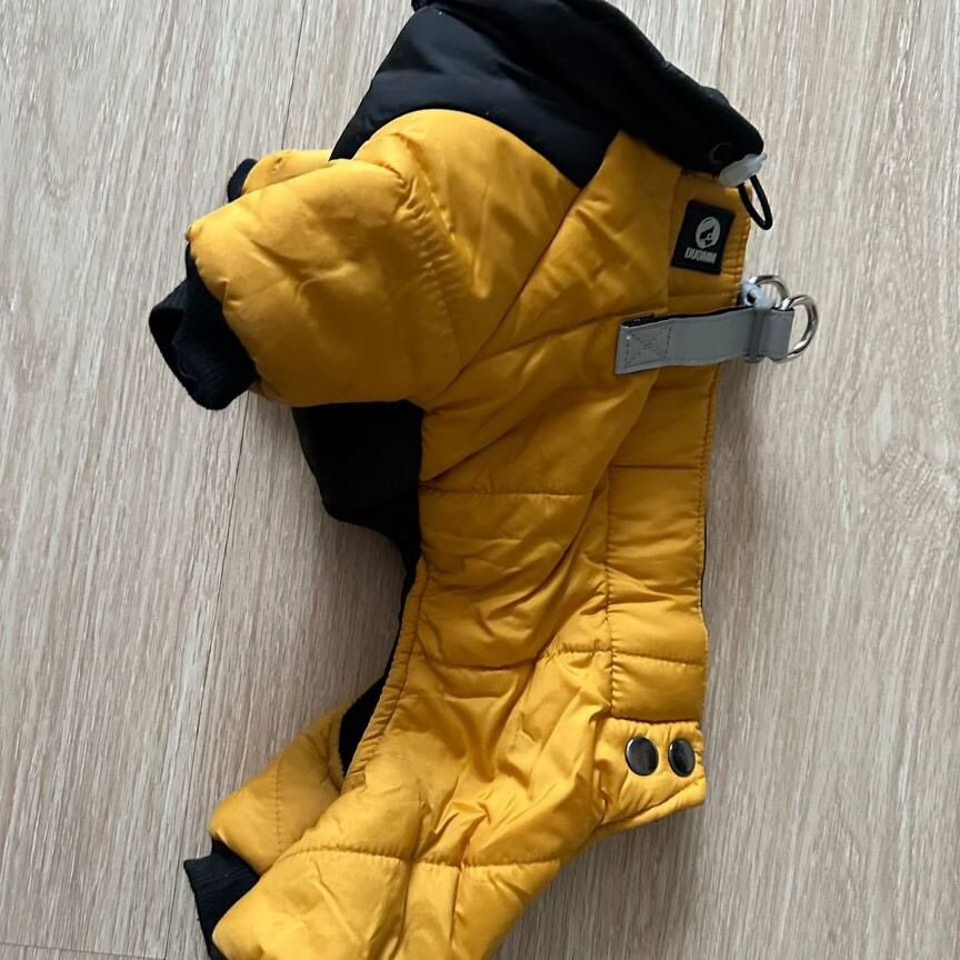 Костюм для собак маленьких пород