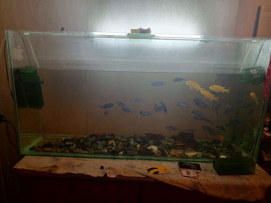 Аквариум с рыбками