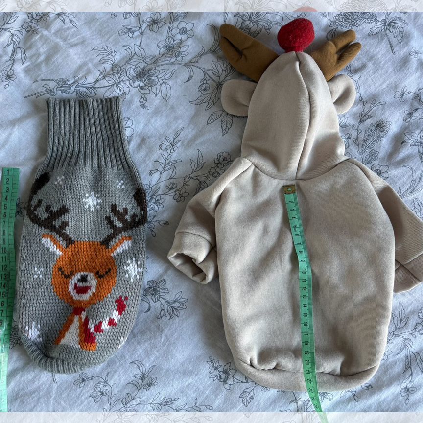 Одежда для собак мелких пород