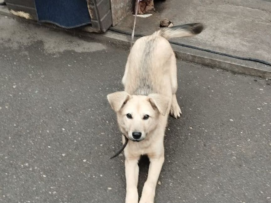 Люсенька с приюта