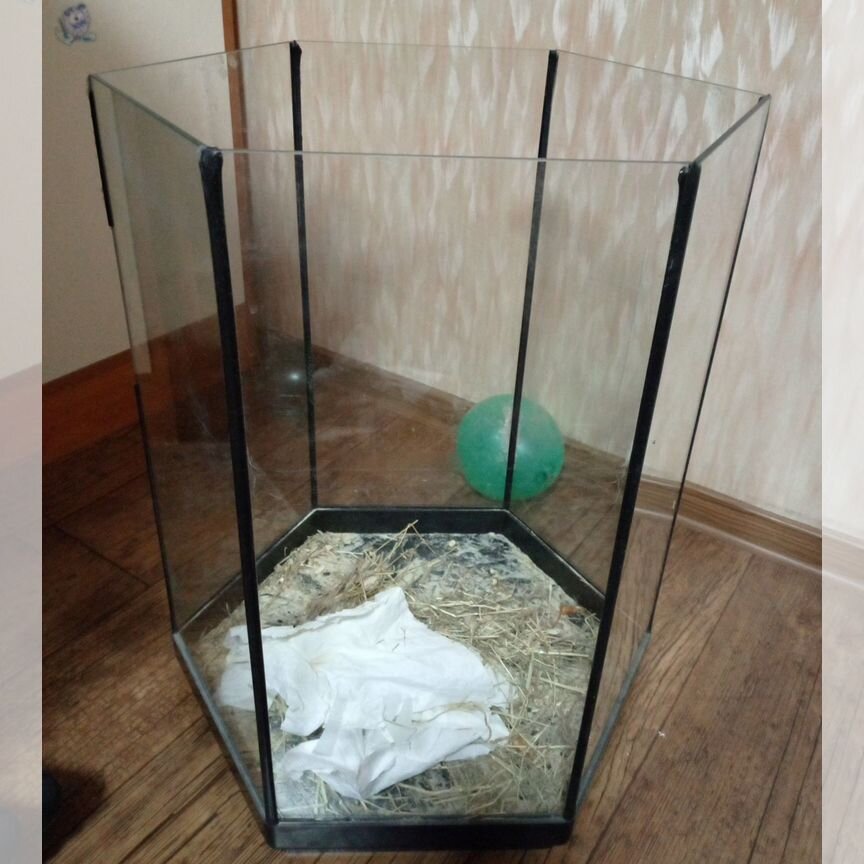 Продам шестигранный аквариум