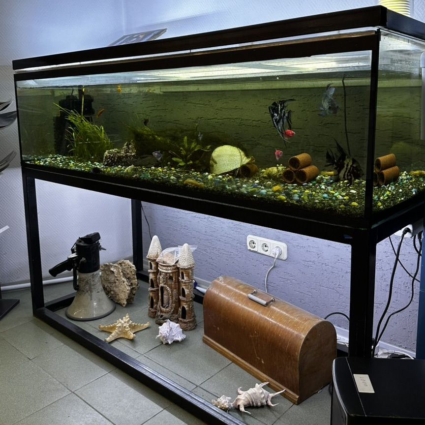 Аквариум большой