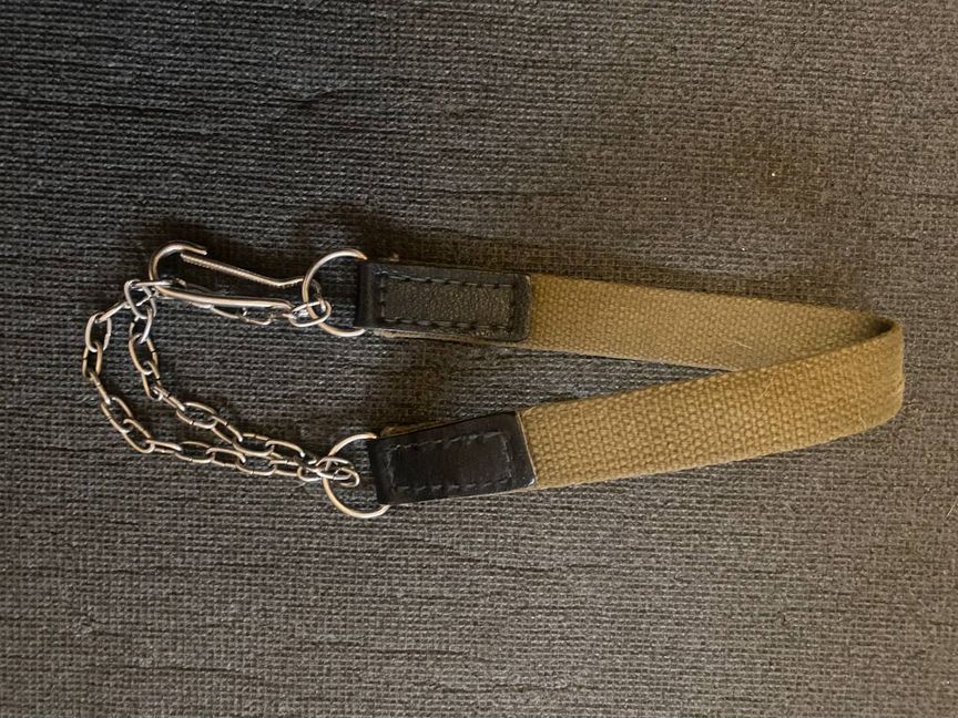 Строгий ошейник для собак