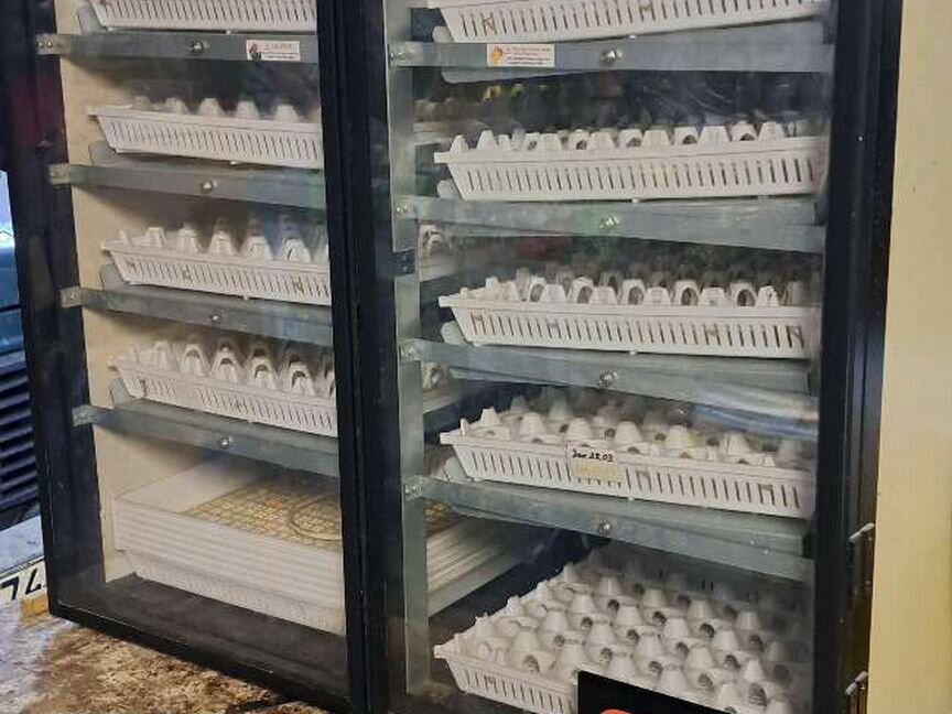 Продам. Инкубатор rcom 1000