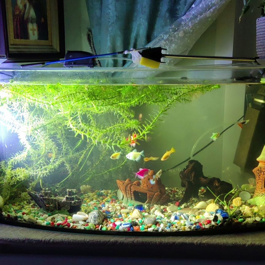 Украшение для аквариума