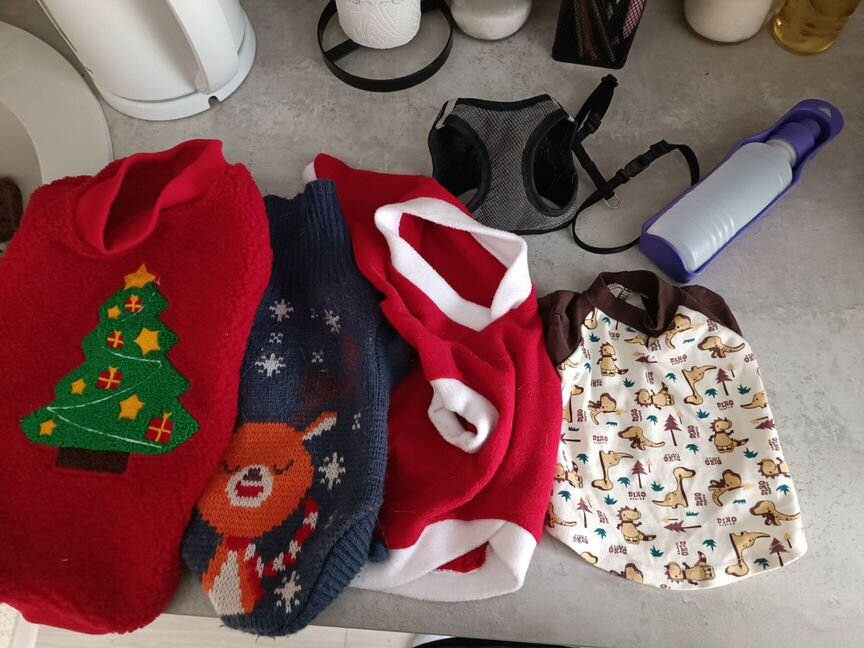 Одежда для маленьких собак