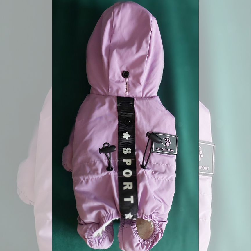 Одежда для собак