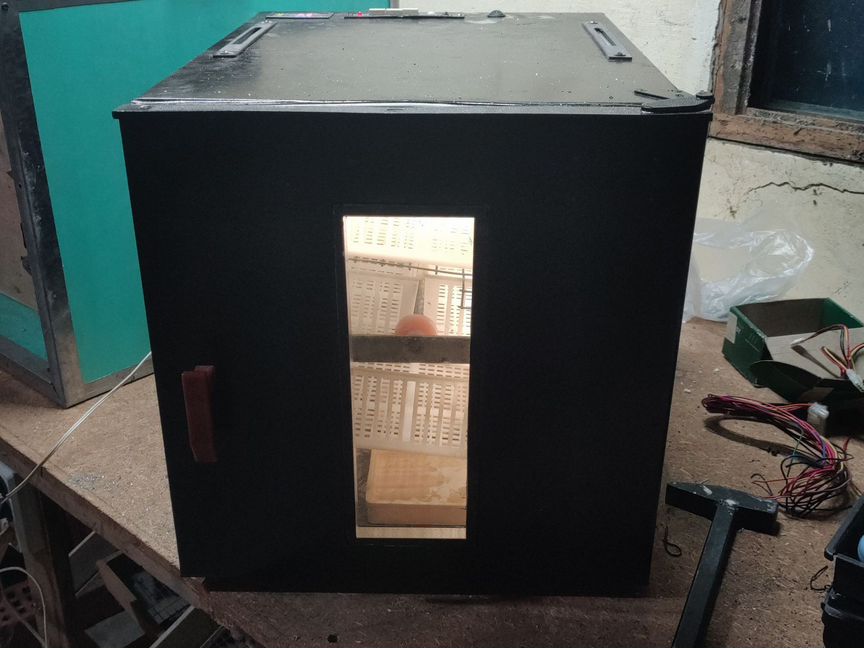 Инкубатор петушок