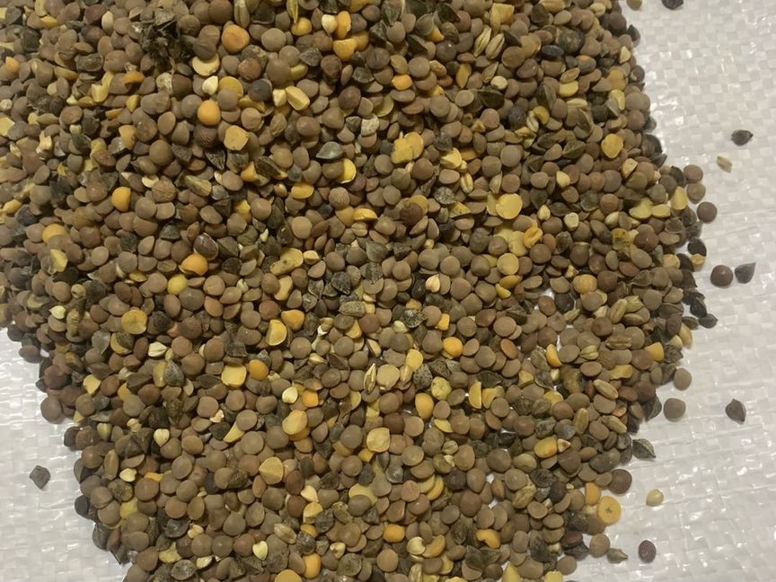 Чечевица красная(белок)