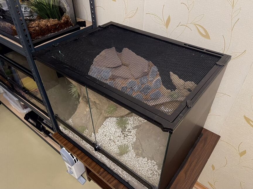 Террариум nomoypet exo terra