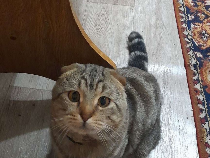 Вязка