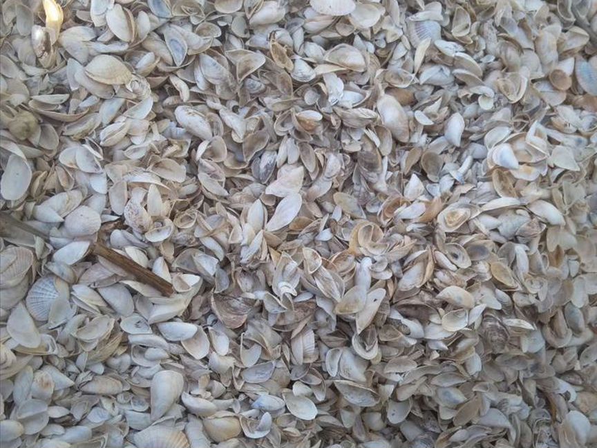 Ракушка для птиц в мешках